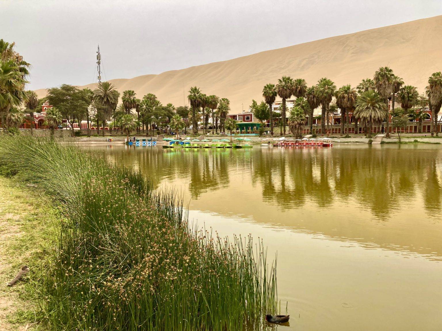 Sandboarding in Huacachina: Peru’s Desert Oasis