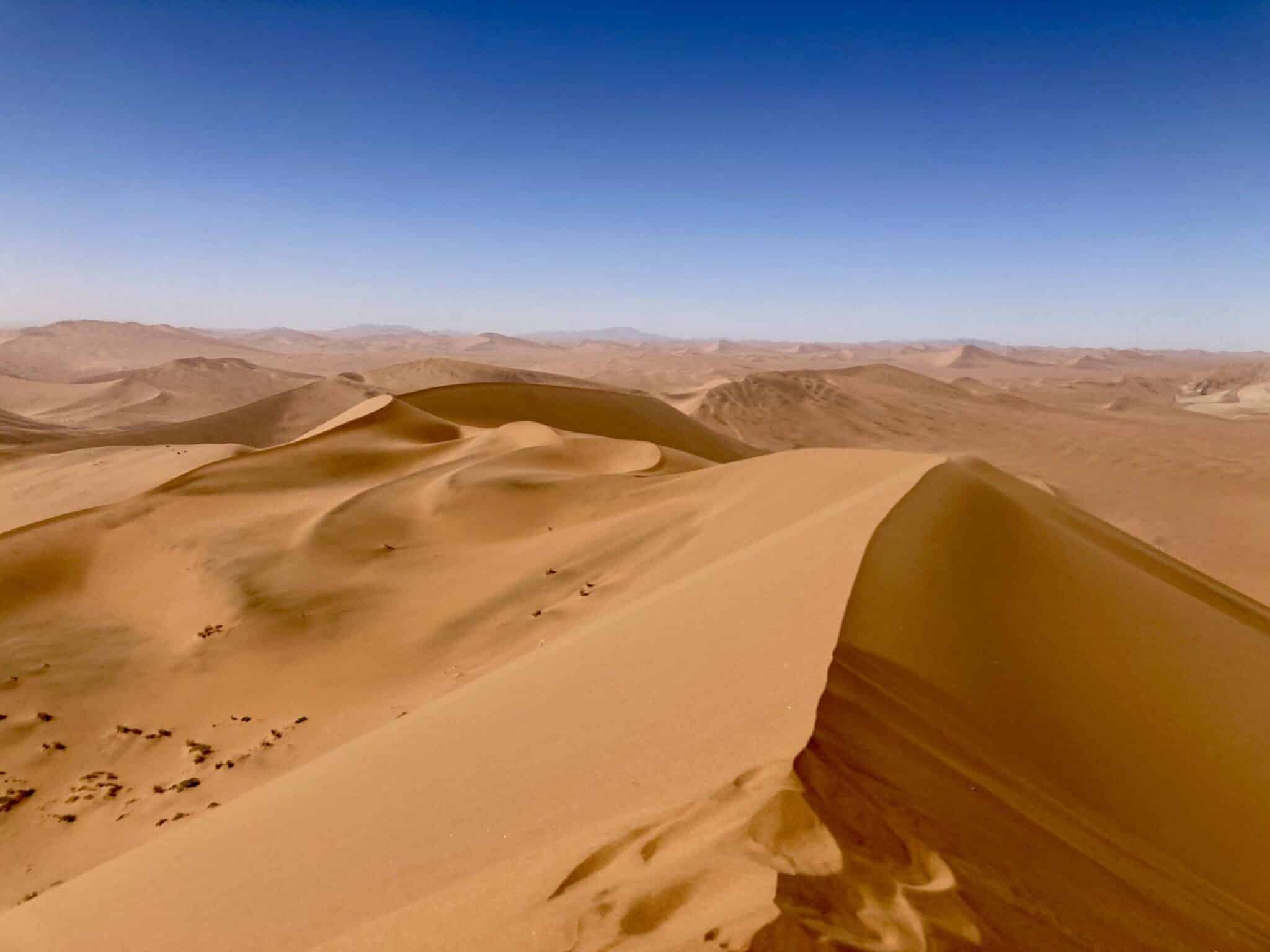 Sossusvlei 2023: The Ultimate Guide to Namibia's Incredible Landscapes