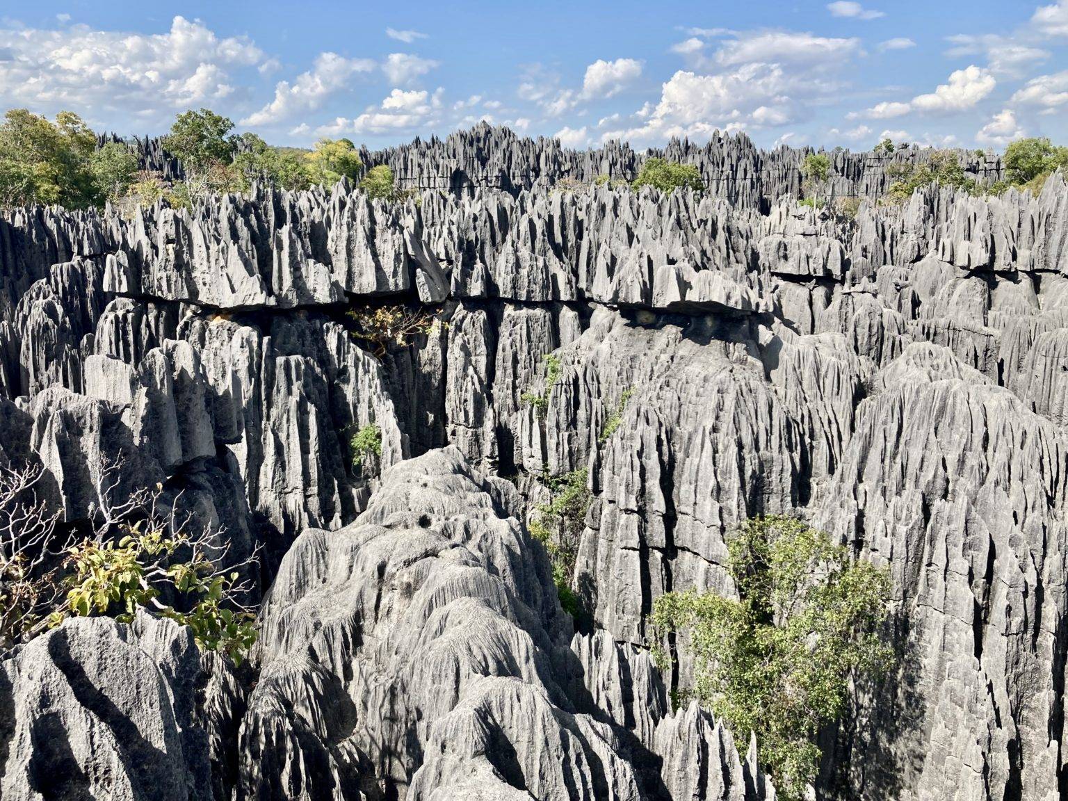 Madagascar's Hidden Gems: Discover the Best Places to Visit