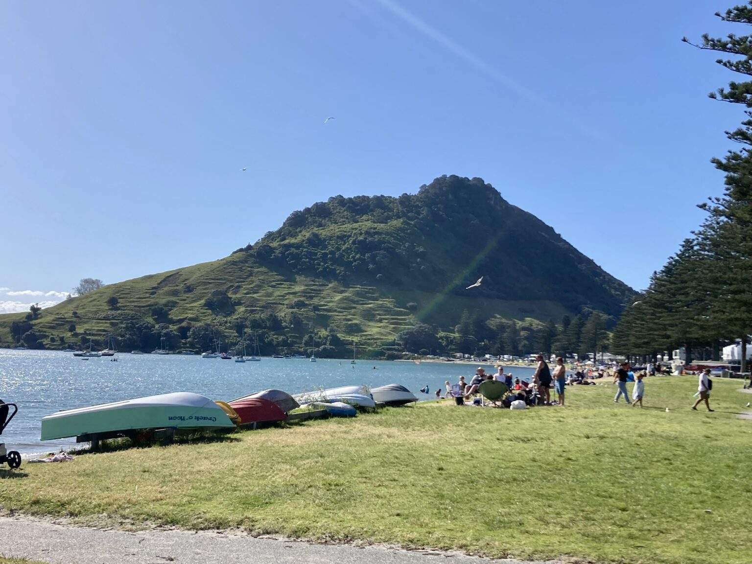 The Ultimate Guide to Hiking Mount Maunganui in New Zealand